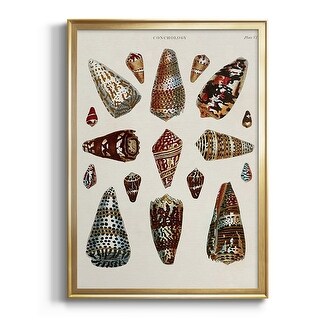 Spiral Shell Formation V Premium Framed Print - Ready to Hang - Bed ...