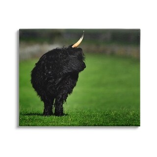 Stupell Fuzzy Yak Looking Away Lush Grass Field Canvas Wall Art, Design ...
