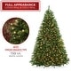 PreLit Realistic Green Spruce Artificial Christmas Tree with Stand ...