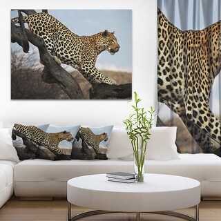 Designart "Leopard Walking on Tree" African Canvas Artwork Print - Bed ...