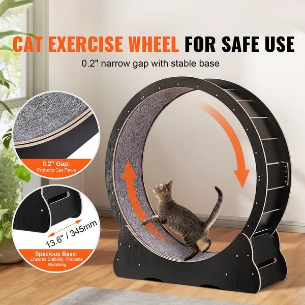 cat running wheel