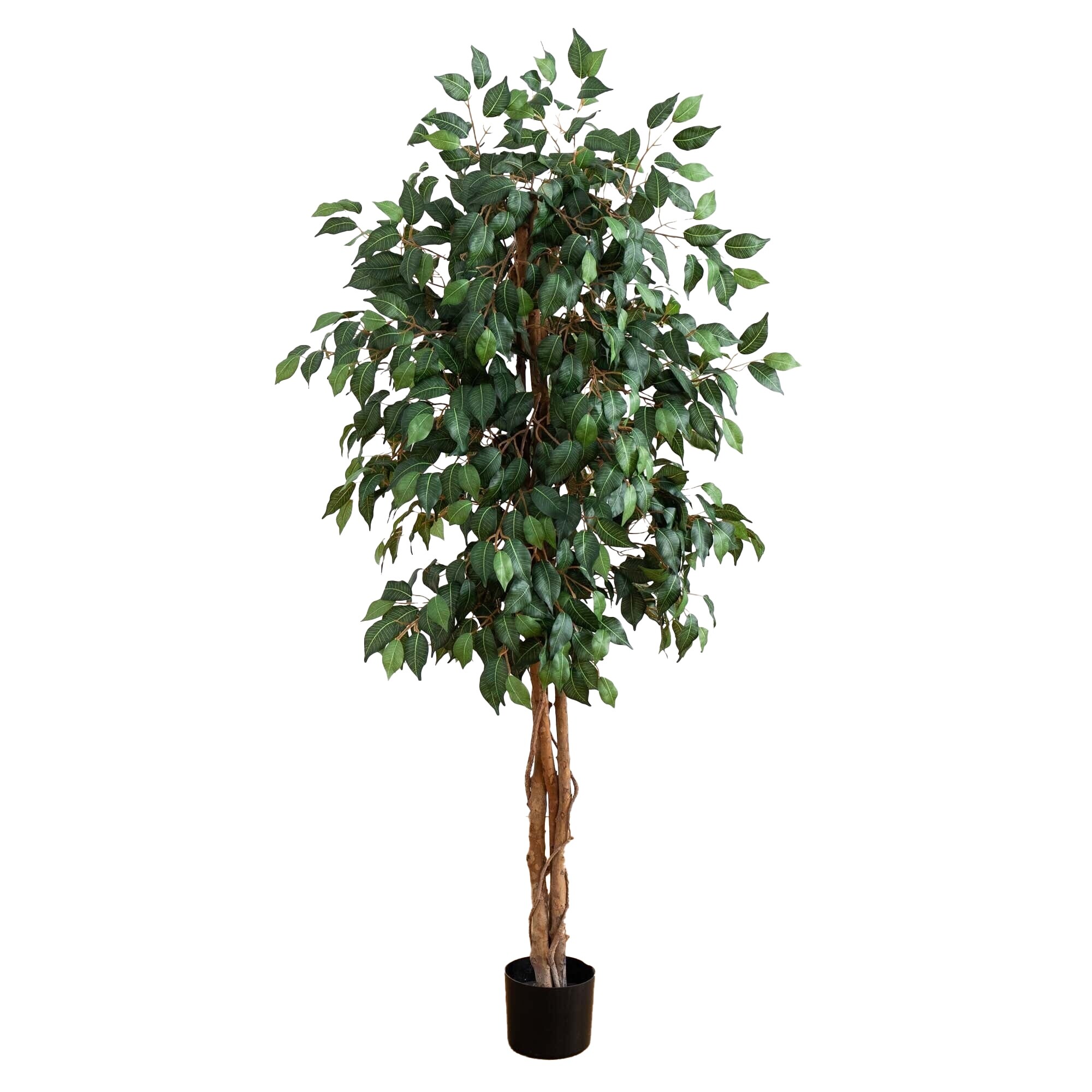 Silk Ficus 5-foot Tree - Green - Bed Bath & Beyond - 3242038
