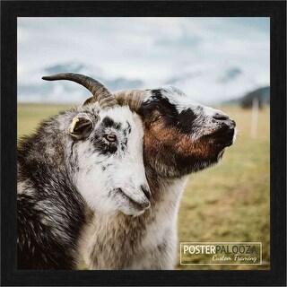 26x26 Shadow Box Frame Black Display Case Wood Square Picture Frame ...