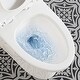 ADA Height One piece dual flush elongated 12'' rough in toilet (Seat ...
