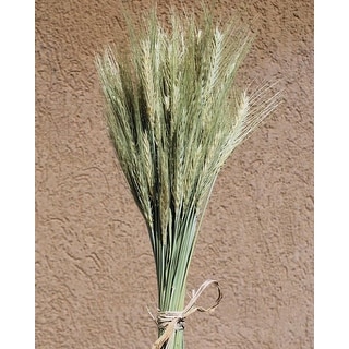 Decorative Wheat Bundles dried Green Bearded Wheat Bundle 8 oz. Approx ...