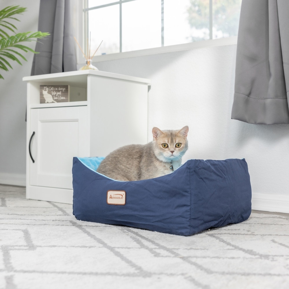 blue cat bed