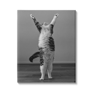 Stupell Funny Cat Victory Pose Canvas Wall Art Design by Kazutoshi Ono ...