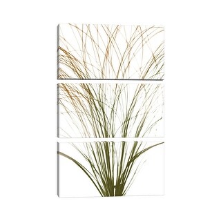 iCanvas "Urban Frayed Soul" by Albert Koetsier 3-Piece Wall Art Set ...