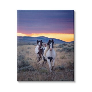 Stupell Spotted Horses at Sunrise Canvas Wall Art Design by PHBurchett ...