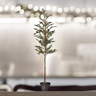 39" Potted Sapling Spruce With Cones Tree Set of 2 - Bed Bath & Beyond ...