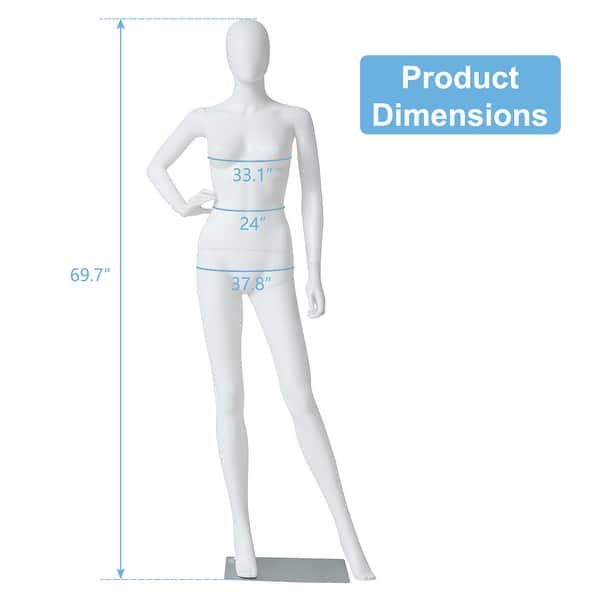 mannequin dimensions