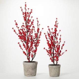 31"H and 38"H Sullivans Potted Red Berry Tree - Set of 2, Red - 9"L x 9 ...