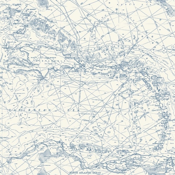 Chesapeake Charts Navy Nautical Chart Wallpaper - Bed Bath & Beyond ...
