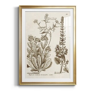 Sepia Botanical Journal IV Premium Framed Print - Ready to Hang - Bed ...
