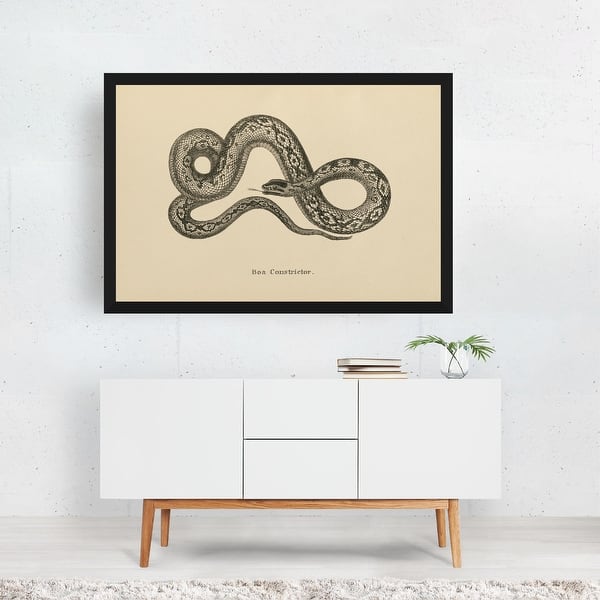 Vintage Boa Constrictor Drawing Animals Drawings Art Print/Poster - Bed ...