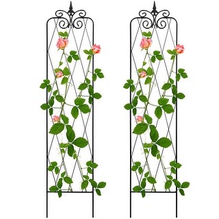 2 Pack 71" H x15 W Trellis,Black Garden Trellis for Climbing Plants ...