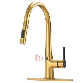 Touchless Kitchen Faucet with Pull Down Sprayer, High Arc Single Handle ...
