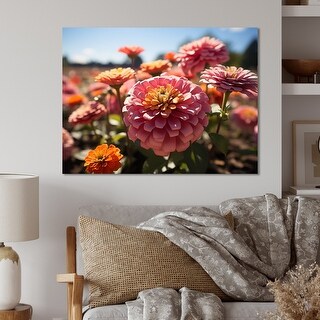 Designart "Colorful Zinnias Field At Sunrise III" Floral Metal Wall Art ...