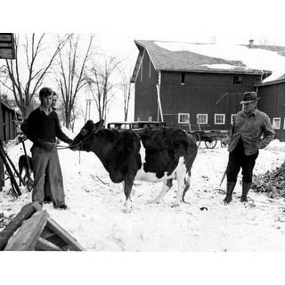 DepressionWisconsin Milk Strike-Thousands Of Dairy Farmers Are ...