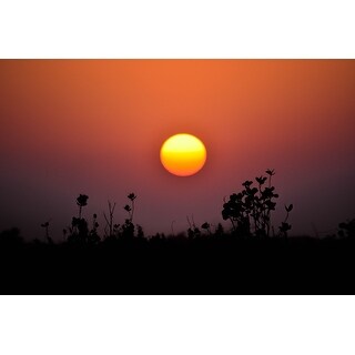 Yellow Sun and Sunset Canvas Wall Art Photograph - Bed Bath & Beyond ...
