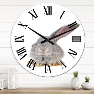 Designart 'Portrait Of A Grey Rabbit I' Traditional wall clock - Bed ...