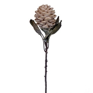 Vickerman 22" Cream Dried Artificial Torch Ginger Stem 3/Bag. - Bed ...