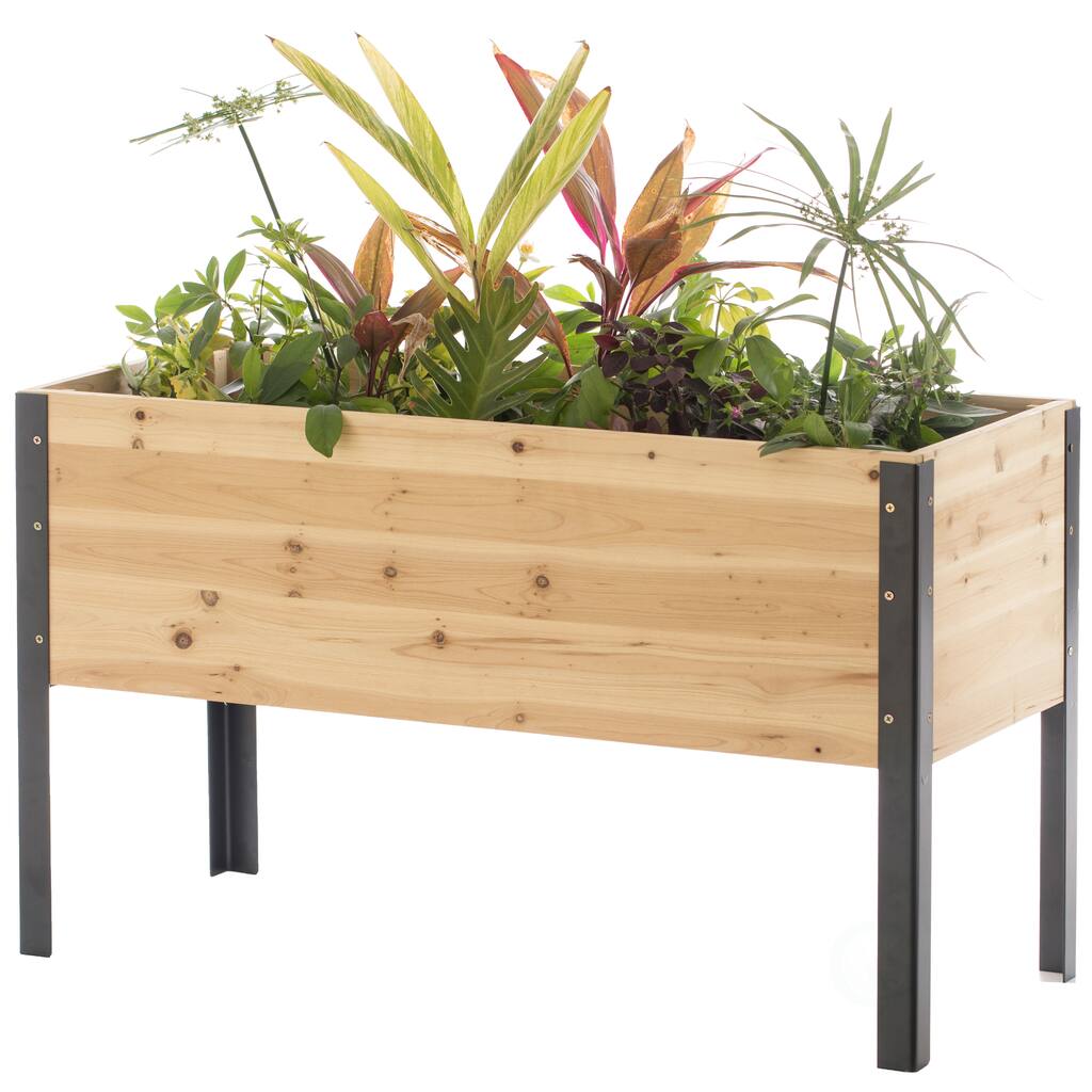 Elevated Outdoor Raised Rectangular Planter Bed Box, Natural ...