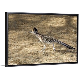"Road Runner in Motion" Black Float Frame Canvas Art - Bed Bath ...