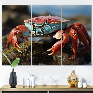 Designart "Crab Coastal Scavenger" Animals Wall Decor Set - Bed Bath ...