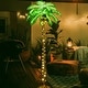 Lighted Palm Tree, 6FT 162 LED Artificial Palm Tree with Coconuts ...