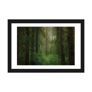 iCanvas "USA, Washington State, Olympic National Park. Western hemlock ...