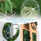 12 OZ Moss Preserved Moss Artificial Moss for Craft Floral Project ...