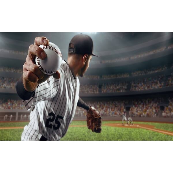 baseball wallpaper mural