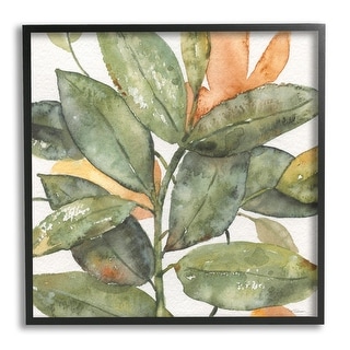 Stupell Botanical Leaves Watercolor Plant Framed Giclee Art by Carol ...