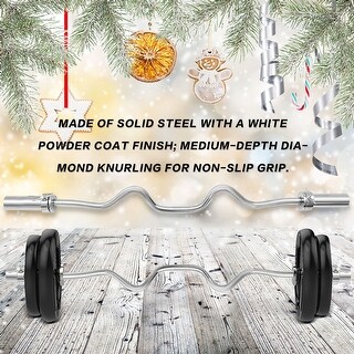 Olympic Bar for Weightlifting and Weight Training, 176LB Capacity and ...