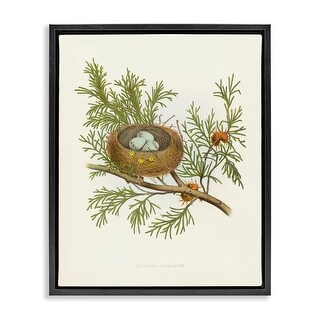 Stupell Forest Bird Nest on Branch Framed Floater Canvas Wall Art ...