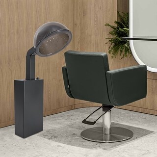 Hooded Hair Dryer with Timer Conditioning Salon Hair Dryer - Bed Bath ...