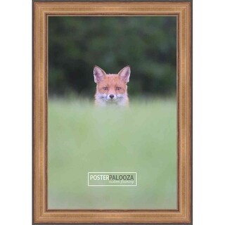 30x40 Traditional Gold Wood Picture Frame - Complete with Frame Grade ...