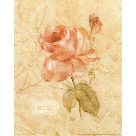 ''Rose on Cracked Linen'' by Cheri Blum Floral Art Print (10 x 8 in ...