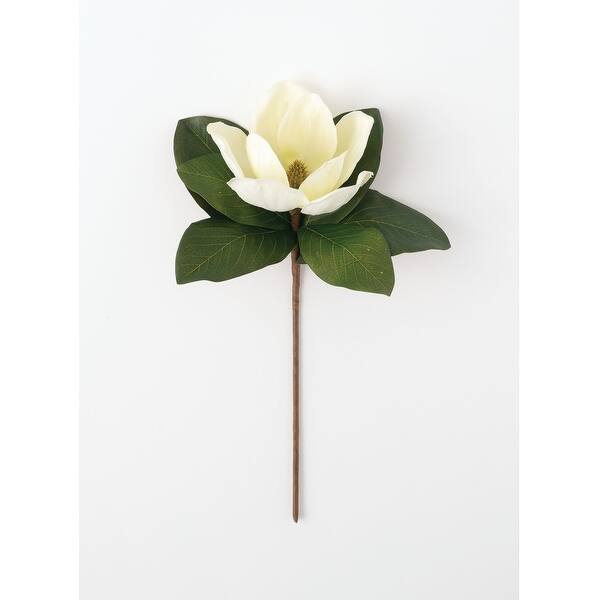 Sullivans Artificial Magnolia Stem 18.5"H Cream - 13"L x 11"W x 18.5"H ...