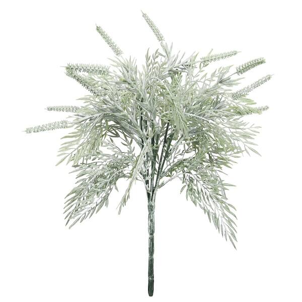 rosemary leaf willow