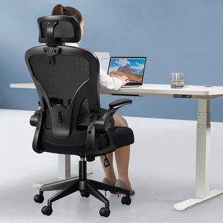 Office Chair,Ergonomic Desk Chair with Headrest and Lumbar Support,High ...