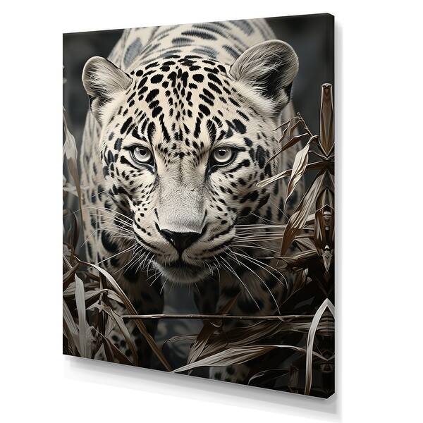 cheetah print predators