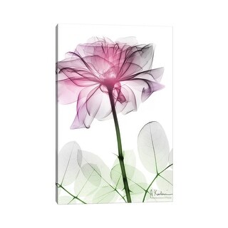 iCanvas "Rose Dynasty II" by Albert Koetsier Canvas Print - Bed Bath ...