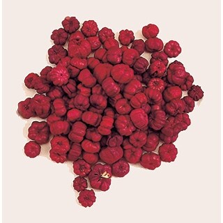 Putka Pod, Red - 10 - Bed Bath & Beyond - 38443993