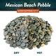 Mexican Beach 20-pound Smooth Round Garden Pebbles - Bed Bath & Beyond ...
