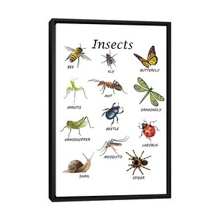 iCanvas "Insects, Classroom" by Printable Lisa's Pets Framed - Bed Bath ...