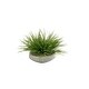 HomeStock Wild Grass in Contemporary Bowl - Chic Faux Grass for Modern ...