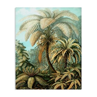 Stupell Detailed Palm Tree Leaves Canvas Wall Art Design By Graffi*tee ...