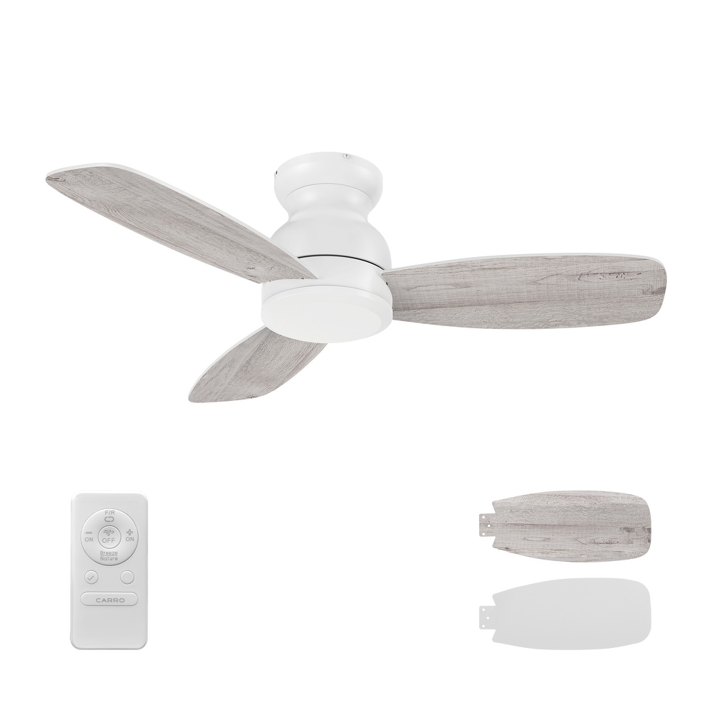Indoor Ceiling Fans - Bed Bath & Beyond